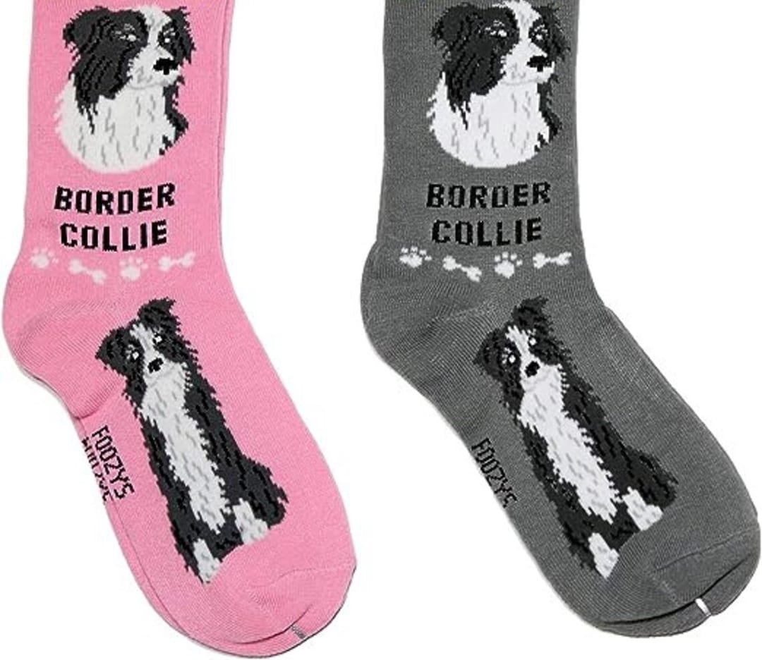 Border Collie Dog Working Herding Intelligent Rescue Cute Friendly ...