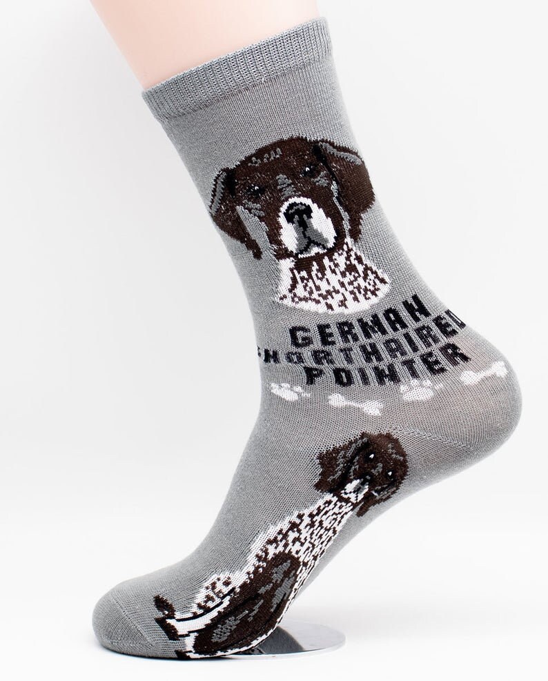 German Shorthaired Pointer Dog Rescue Friendly Animal Companion Breed ...