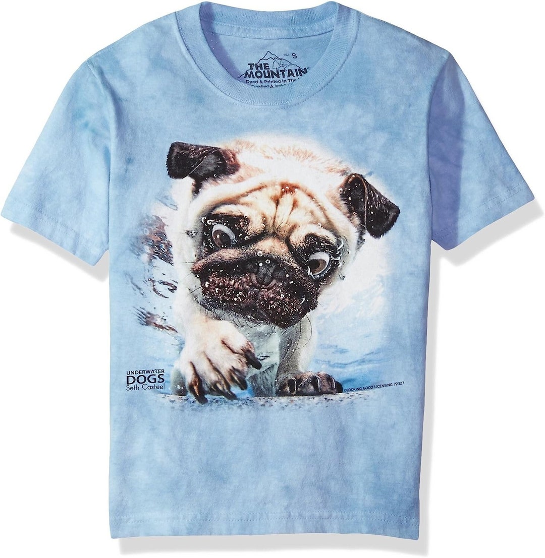 The Mountain Pug Underwater Duncan Dog Wrinkles Loyal Cute Dogs Puppy ...