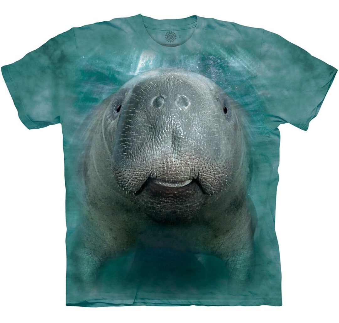 Manatee Sea Cow in the Caring Manatees Fish Large Marine Aquatic Smart ...