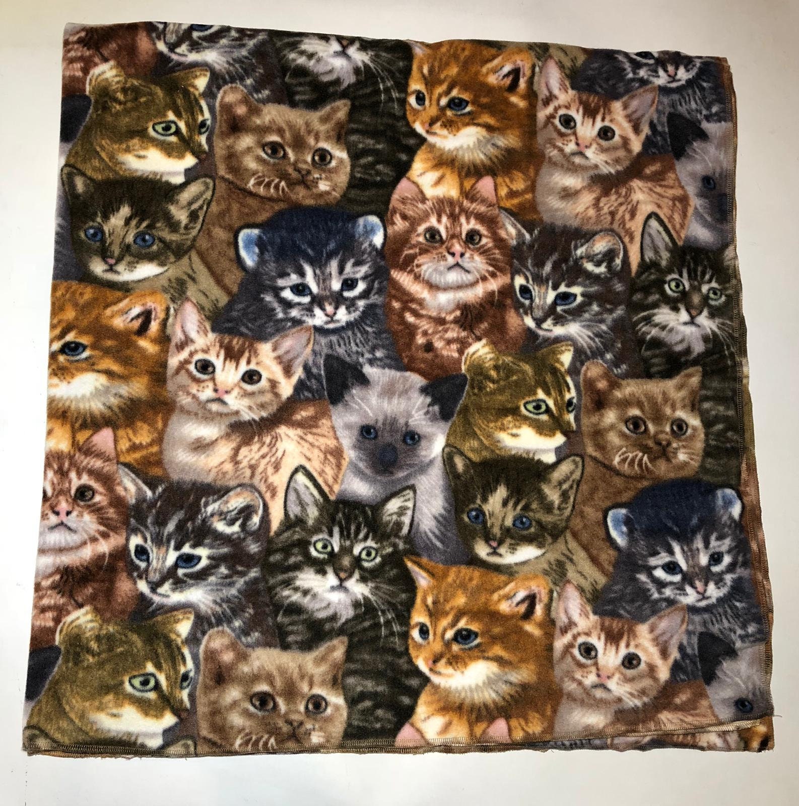 Zoofleece Cute Cats Kitten Polar Fleece Oversized 50x60" Blanket Quilt ...