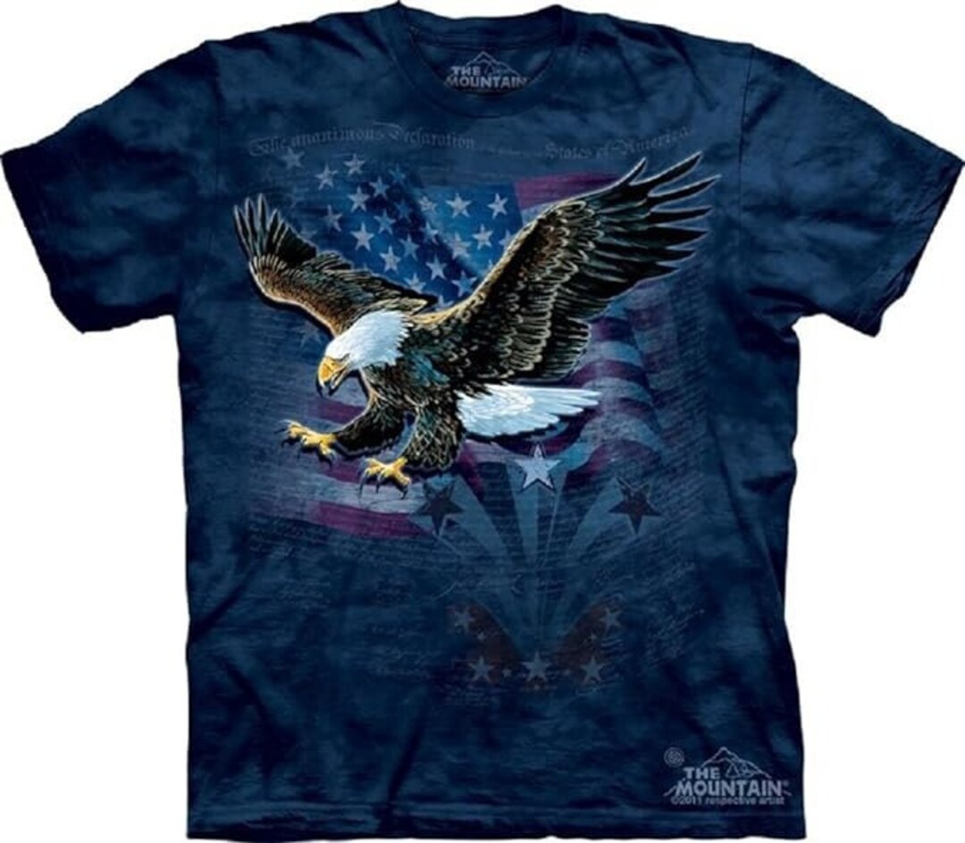 American Eagle Bird Declaration of Independence United States - Etsy