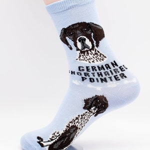 German Shorthaired Pointer Dog Rescue Friendly Animal Companion Breed ...