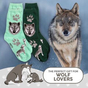 Wolf Wolves Grey Wolf Lupus Coyote Husky Gray Dog Animal Lightweight ...