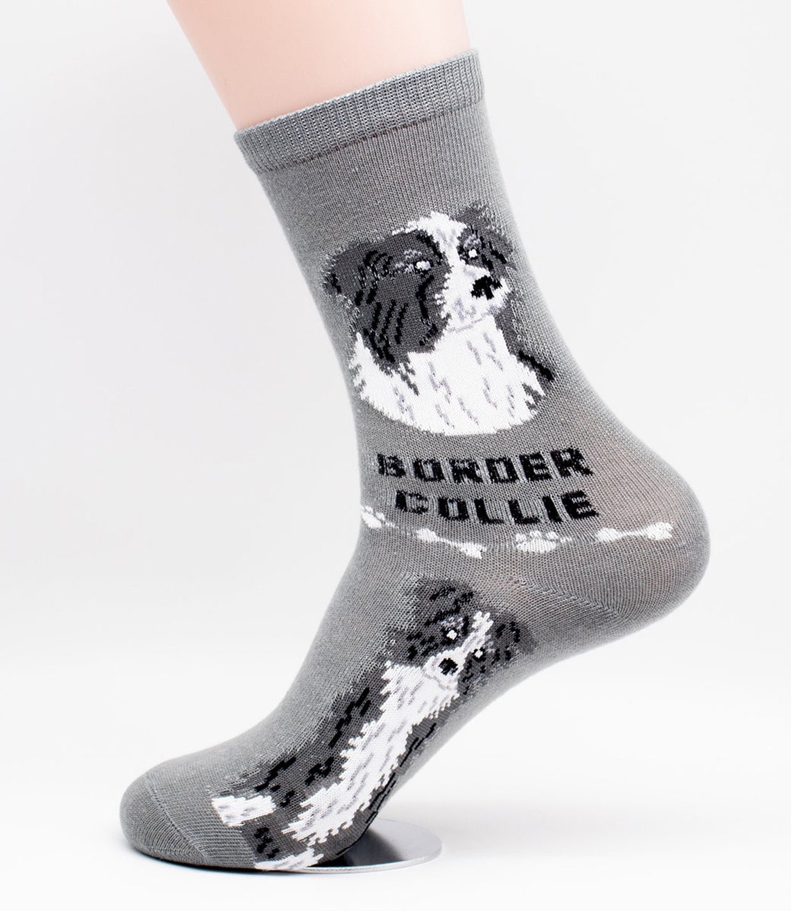 Border Collie Dog Working Herding Intelligent Rescue Cute Friendly ...