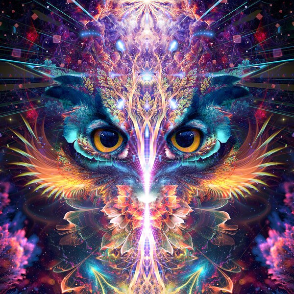 Psychedelic Owl - Etsy