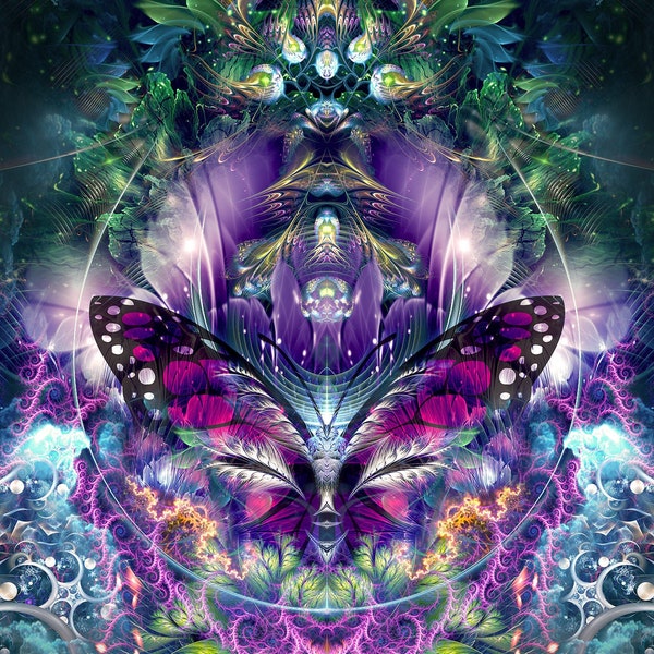 Live Moth Cocoon - Etsy