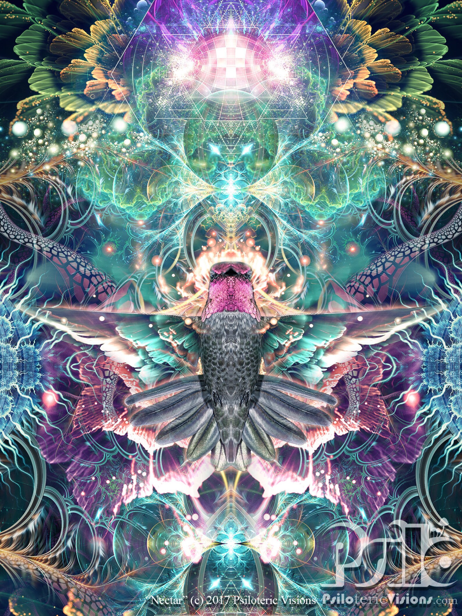 Hummingbird Art POSTER Hummingbird Painting Psychedelic - Etsy