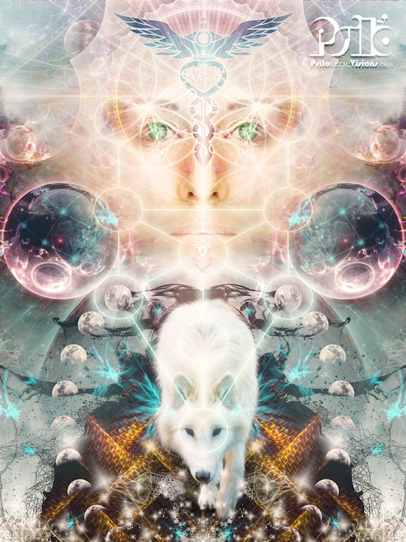 Wolf Visionary Art CANVAS Psychedelic Art Fractal Art Print | Etsy