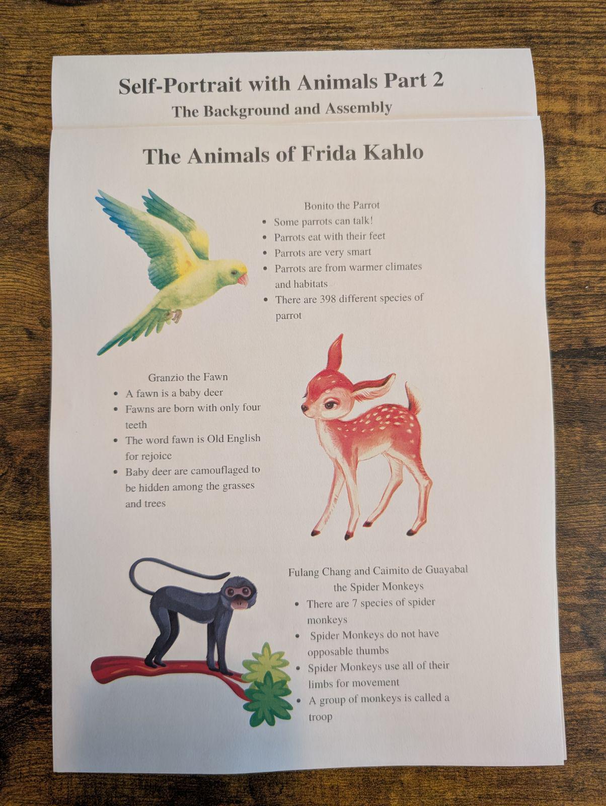 Printable Frida Kahlo Artist Mini Study - Etsy