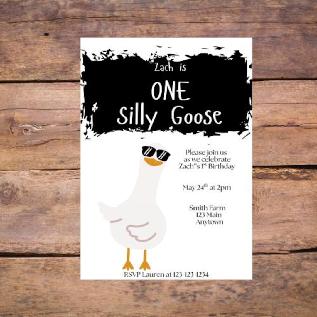 Silly Goose Birthday Party Invitation - Etsy