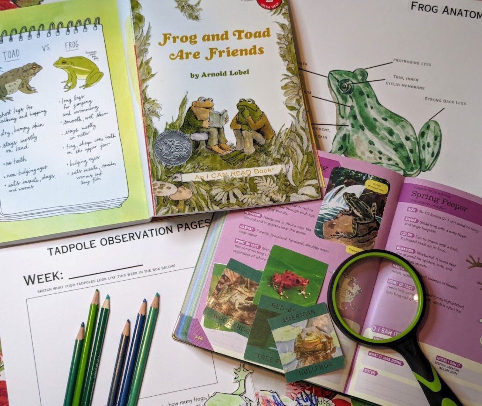 Printable Frog Unit Study - Etsy