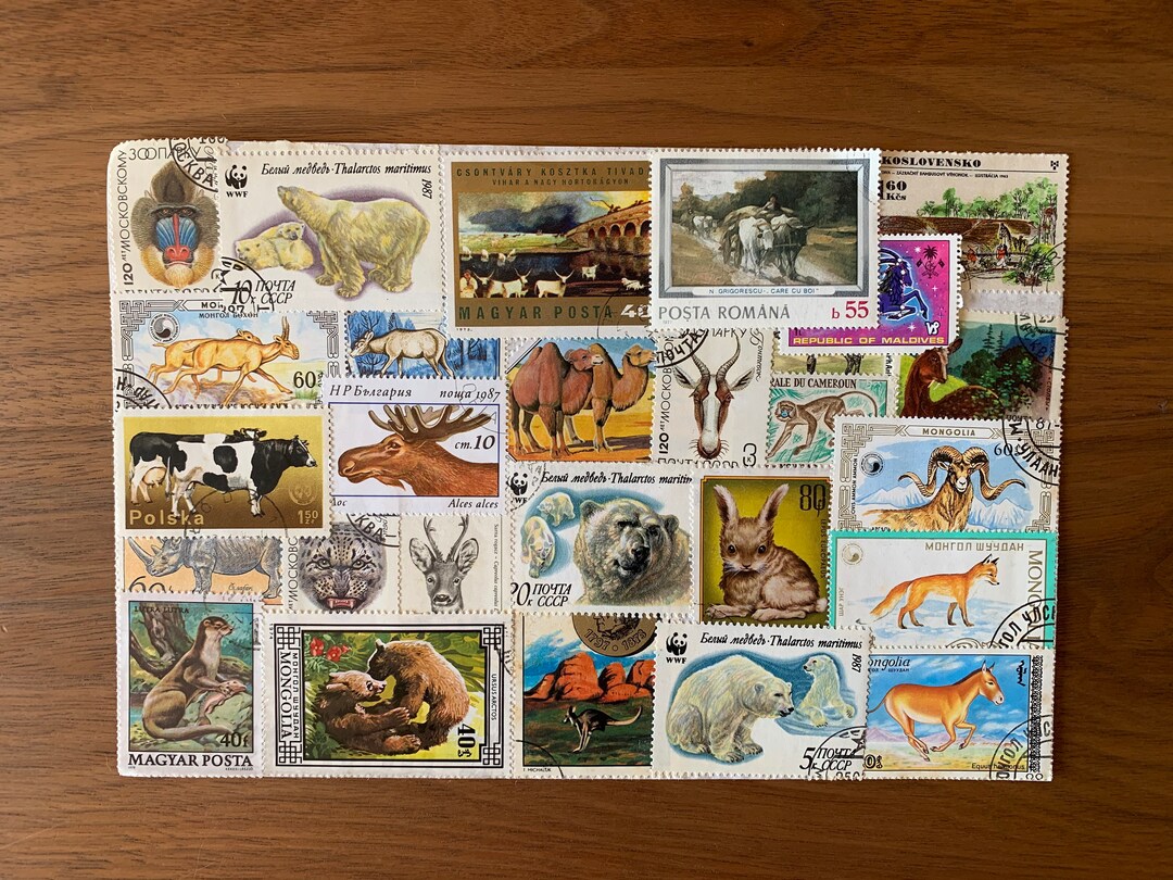 Animal Stamp Set - Etsy