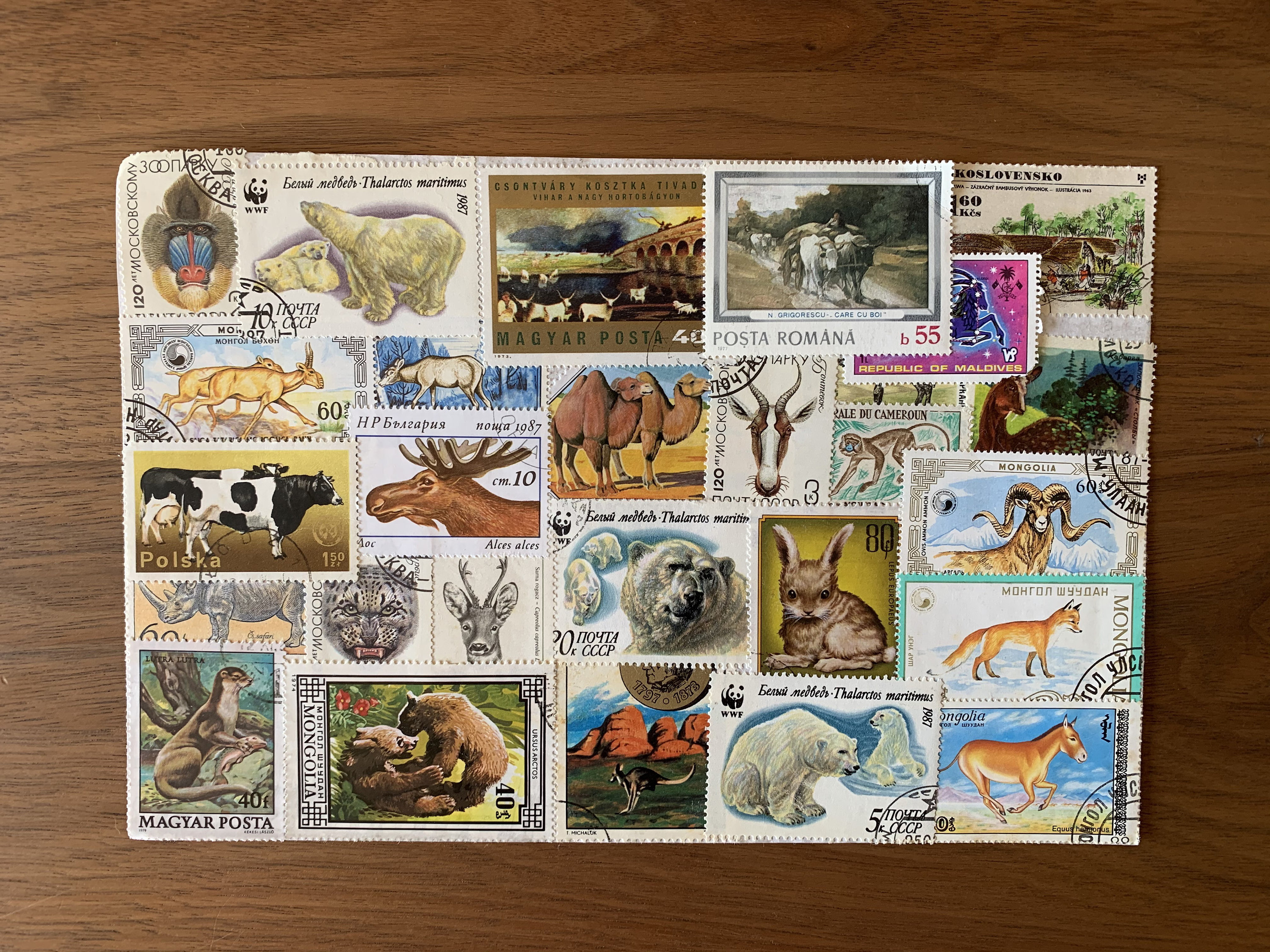 Animal Stamp Set - Etsy