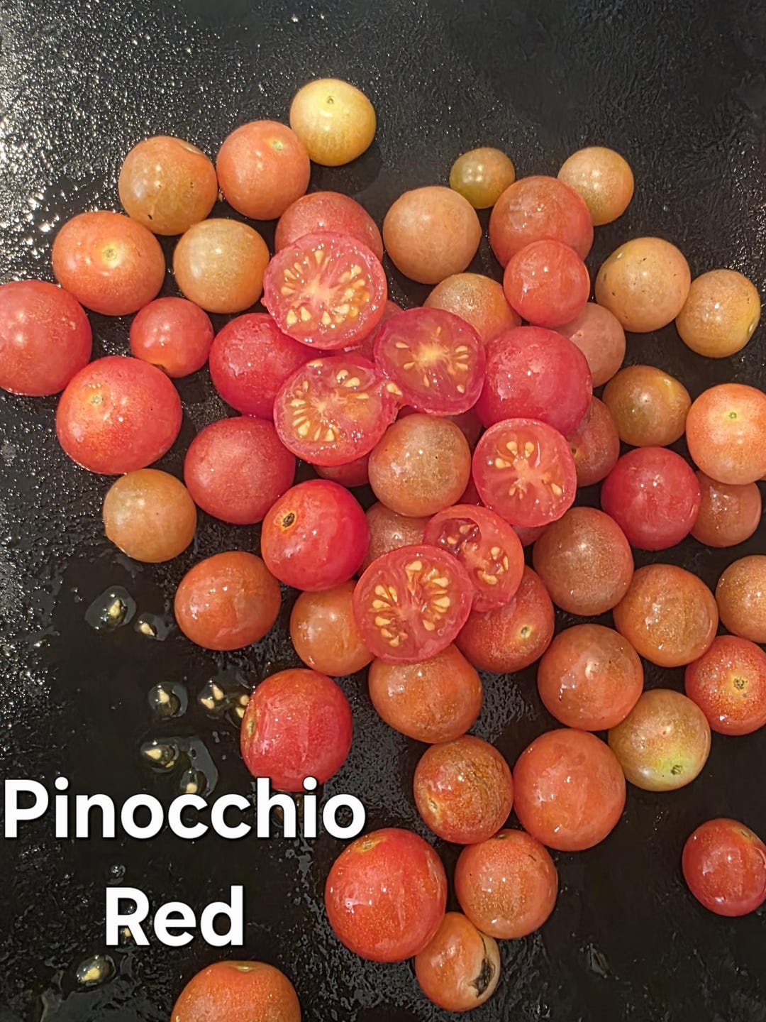 Pinocchio Red Micro Dwarf Tomato (15+ Seeds) Tiny Plant, Mighty Harvest ...