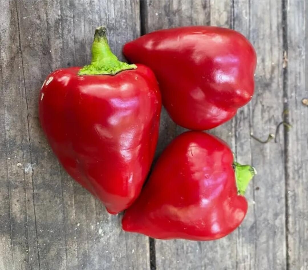 Red Leysa Pepper (10 Seeds) A Vibrant Red Pepper With Rich, Sweet ...