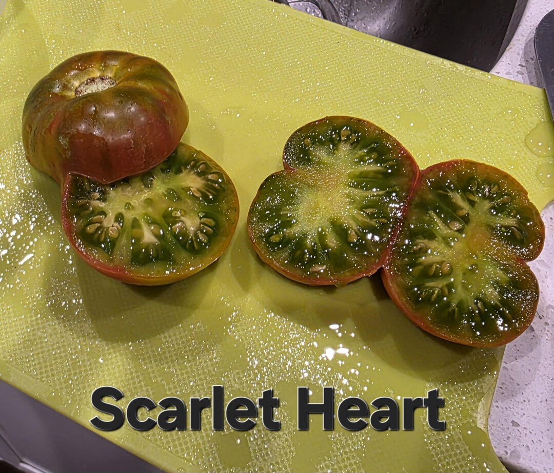 Scarlet Heart Dwarf (15+seeds) Sweet Mini Wonder! - Etsy