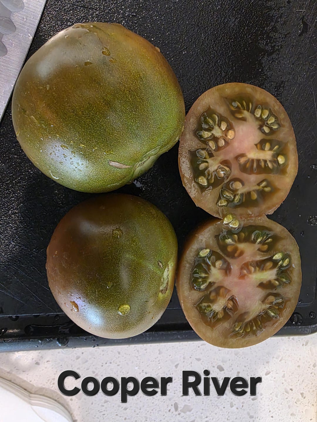 Cooper River Tomato (15+seeds) Grow a Taste of Tradition - Etsy