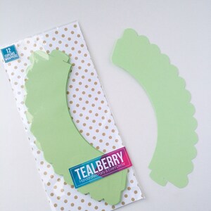 12 Mint Green Cupcake Wrappers | Standard Sized | Pastel Green, Light ...