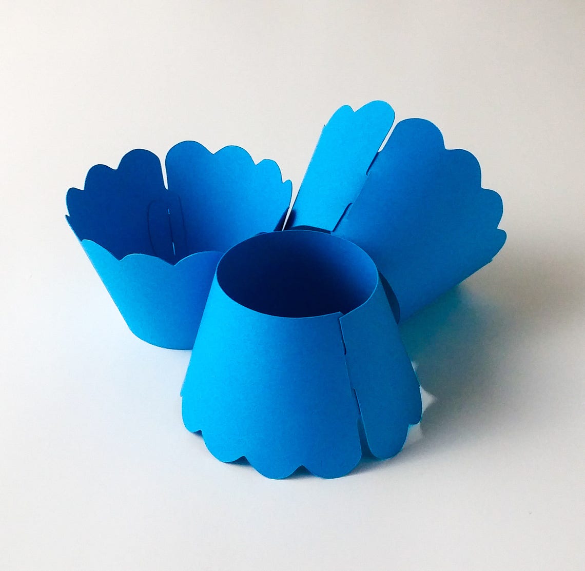 Set of 12 Bright Blue Cupcake Wrappers Standard Sized | Etsy