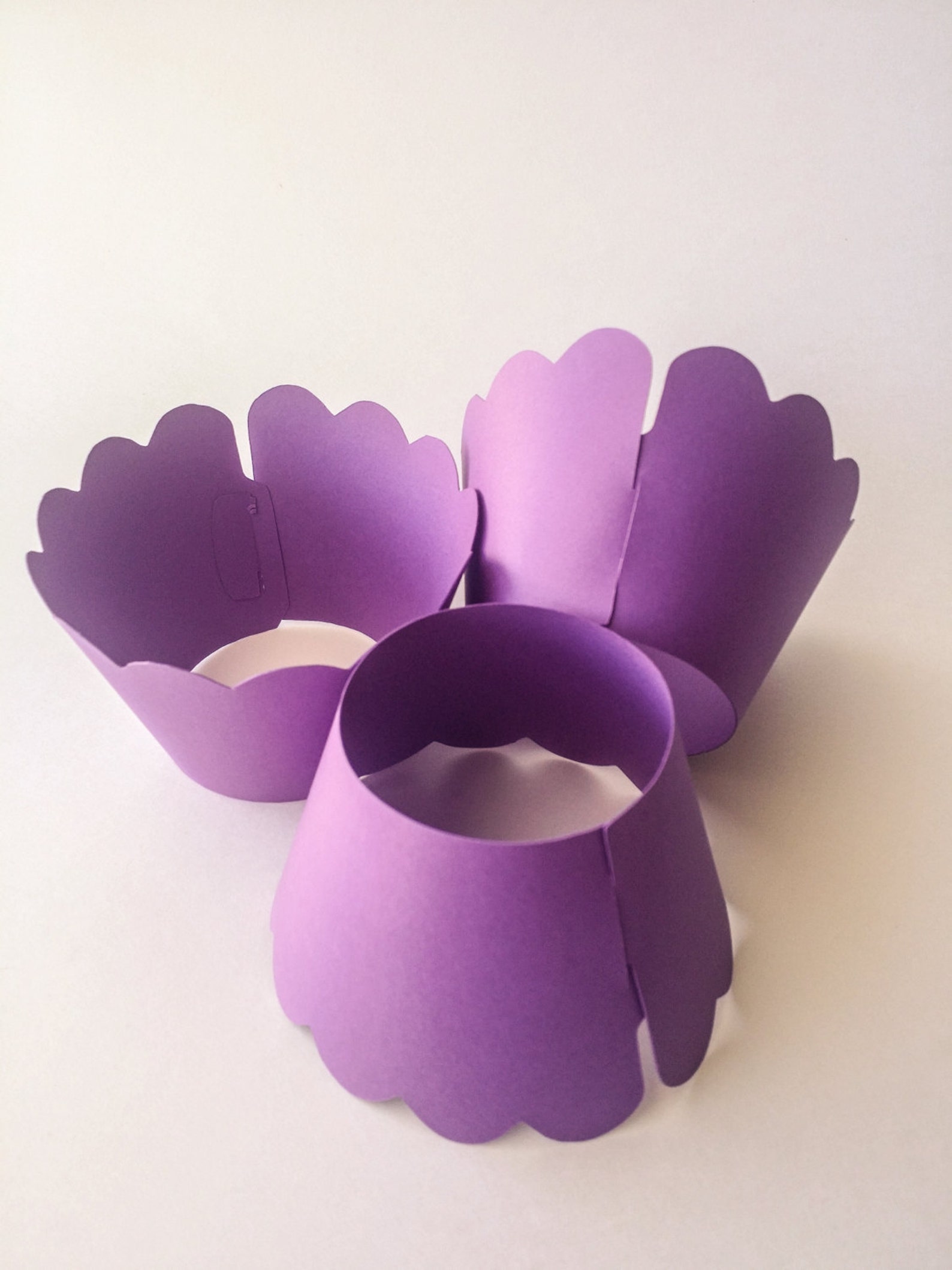 12 Purple Cupcake Wrappers Standard Sized Purple Violet | Etsy