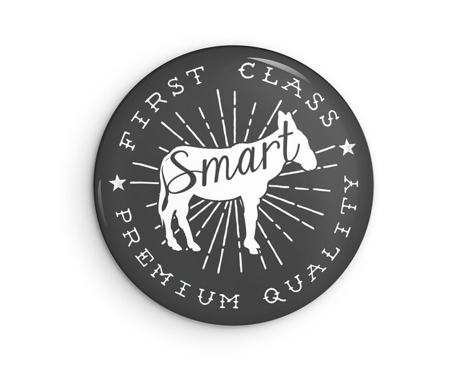 First Class Smart Ass Funny Buttons Badge Sarcasm Magnet - Etsy
