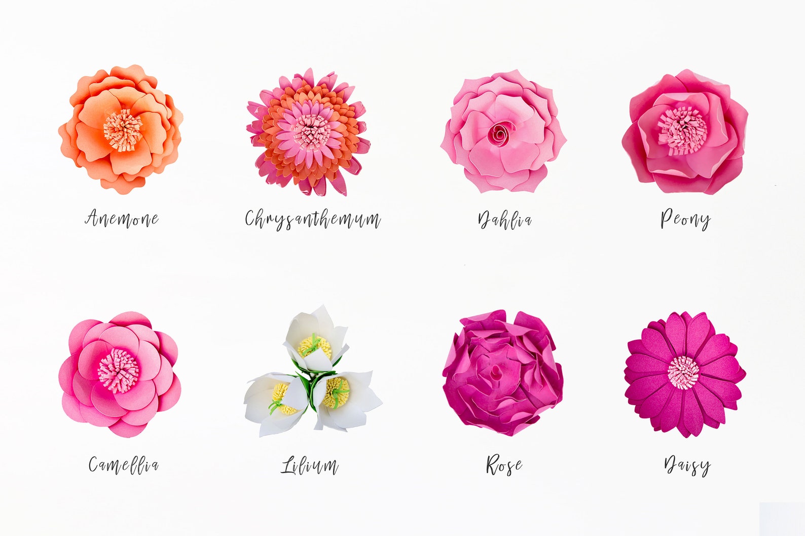 Camellia Paper Flower Templates Silhouette Cutting Files Wedding ...