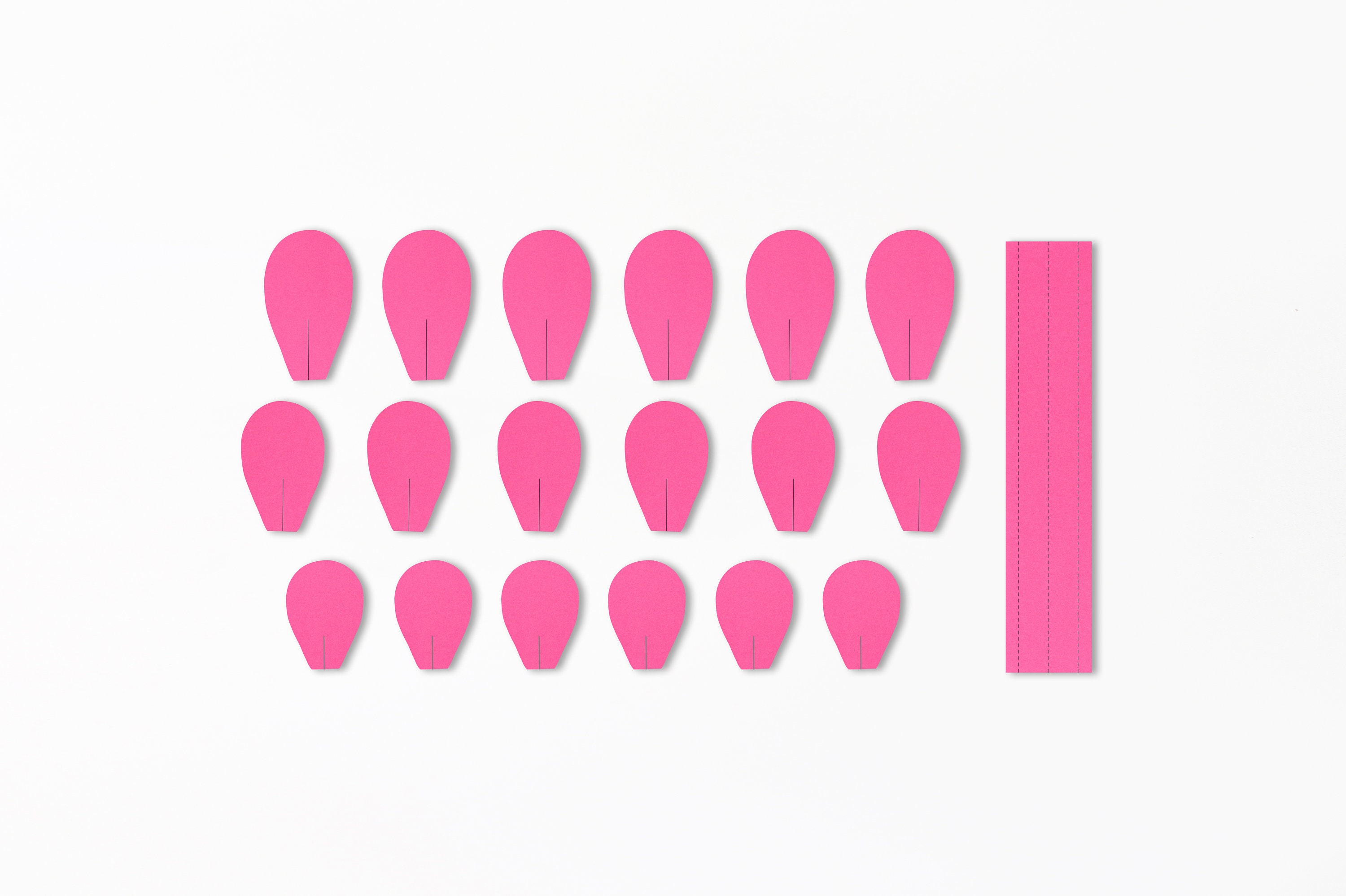 Camellia Paper Flower Templates - Silhouette Cutting Files - Wedding ...