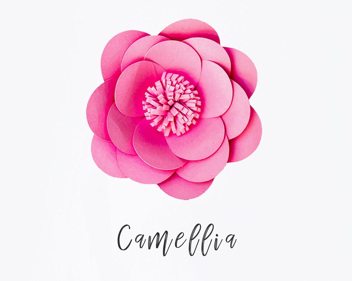 Camellia Paper Flower Templates Silhouette Cutting Files Wedding ...