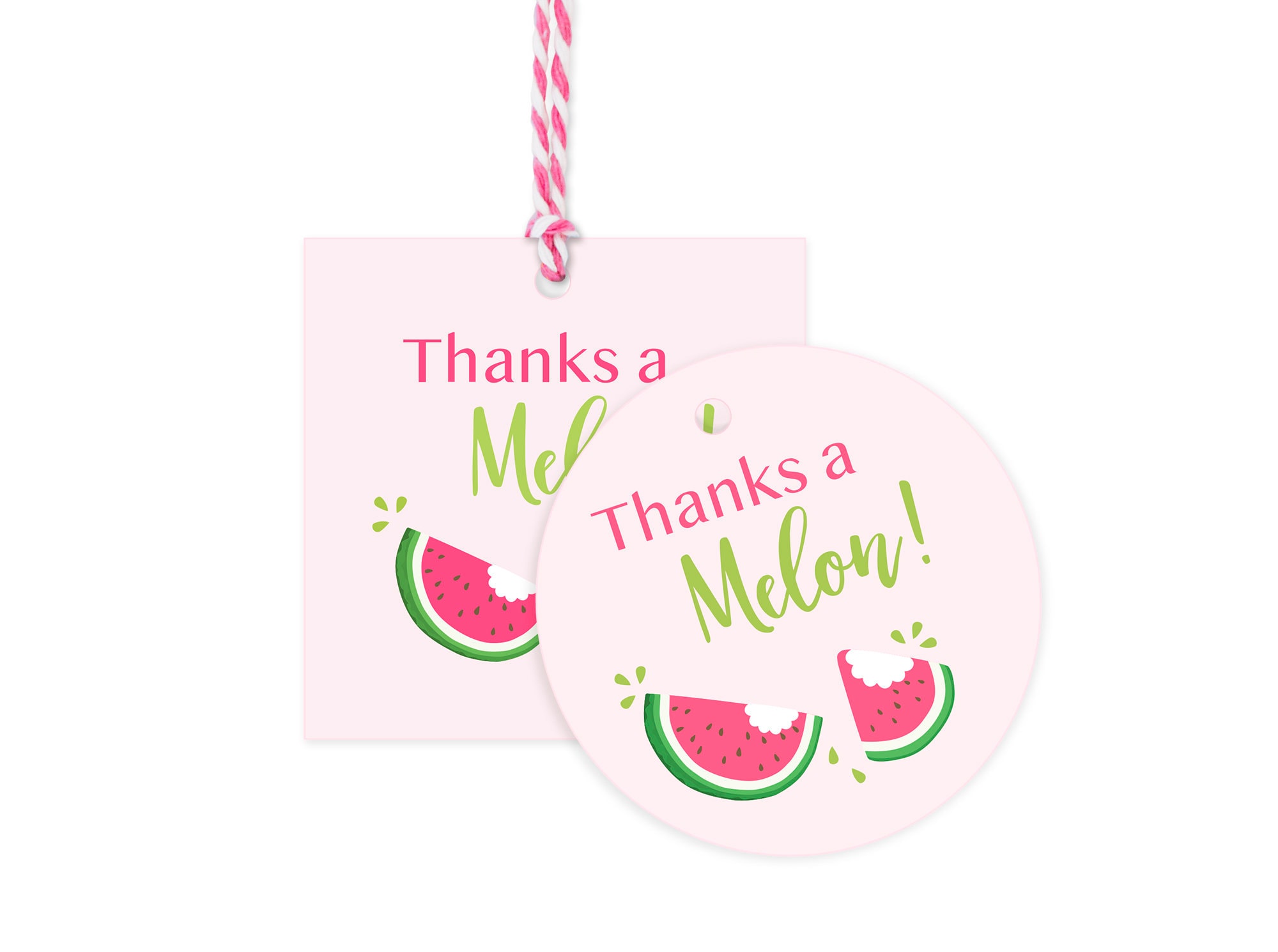 Watermelon Party Tags - Labels - 2 Colours Pink and Blue - Party Bag ...