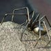 Metal Spider steel Spider Art Sculpture - Etsy