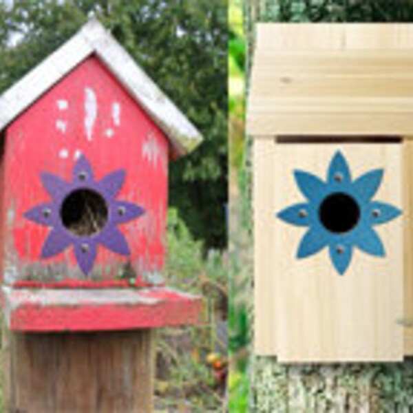 Bird House Predator Guard - Etsy