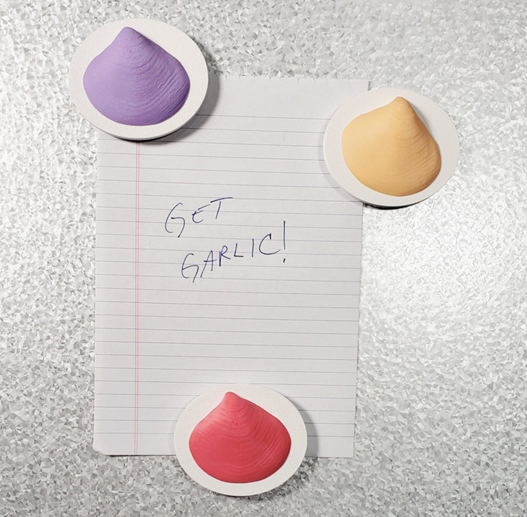 2 PK of 3D Refrigerator Magnets - Clam - Etsy