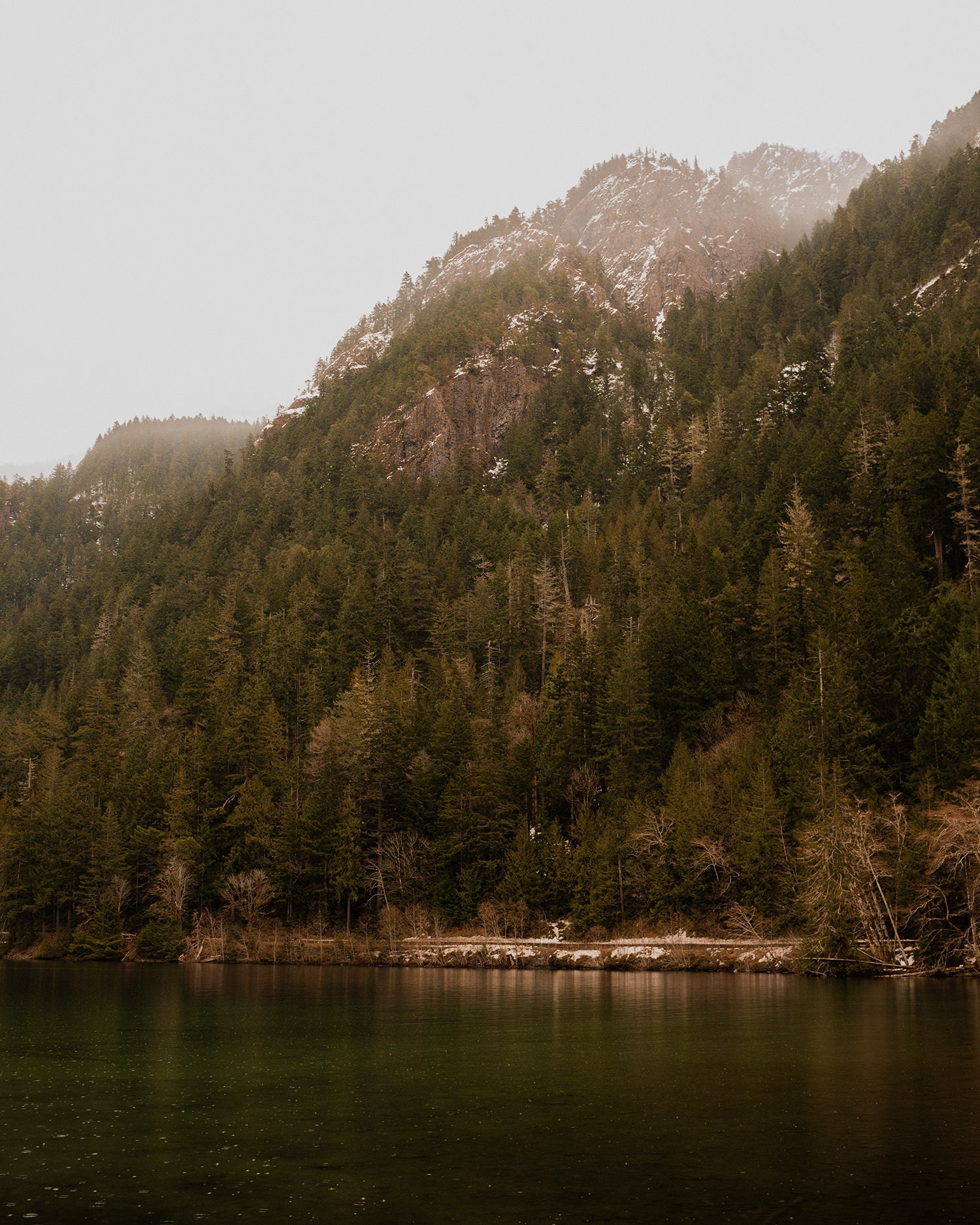 Mountain Forest Tumblr Background