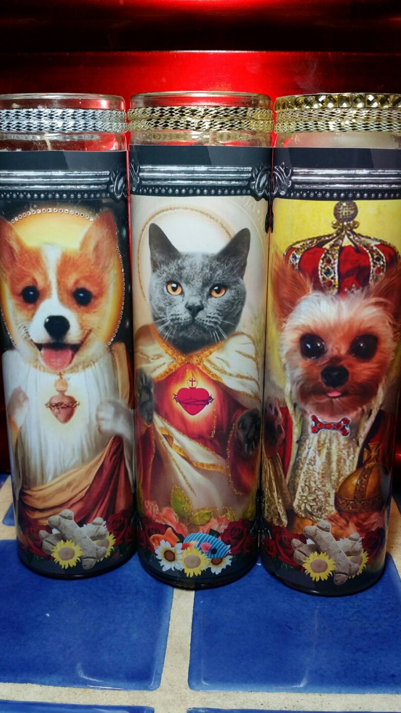 Grey British Shorthair Saint Cat Feline Prayer Candle Pet | Etsy