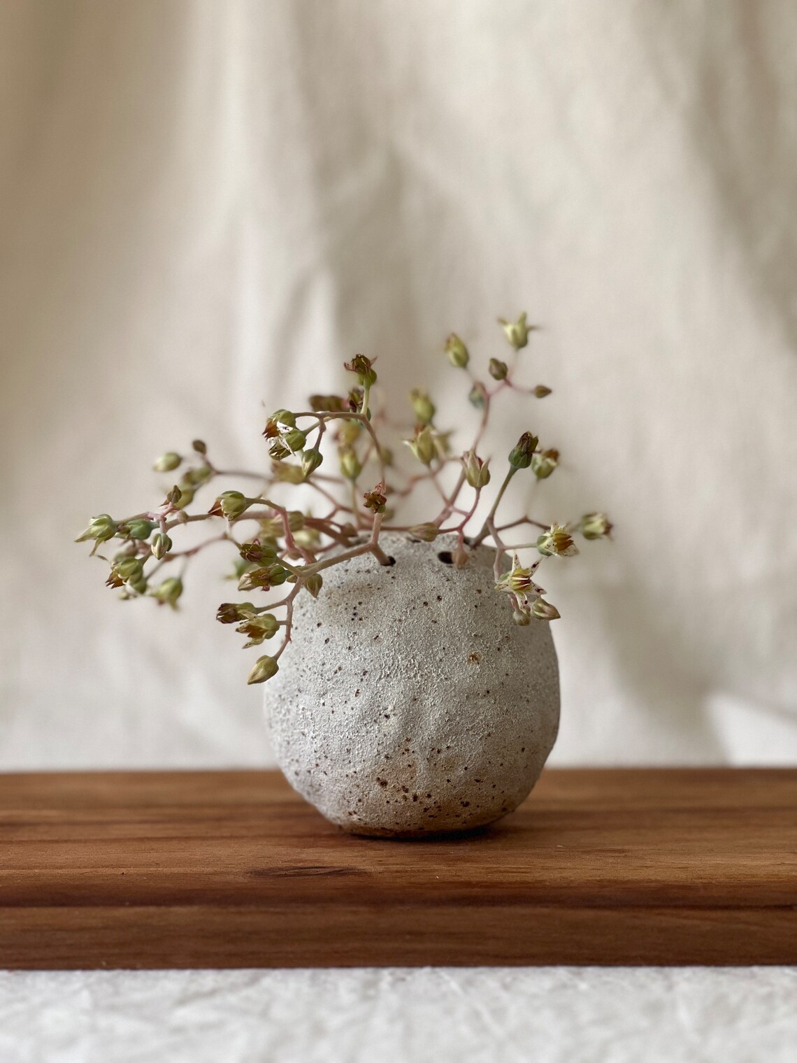 White Crater Bud Sprig Vase Handmade Ceramic Pottery - Etsy