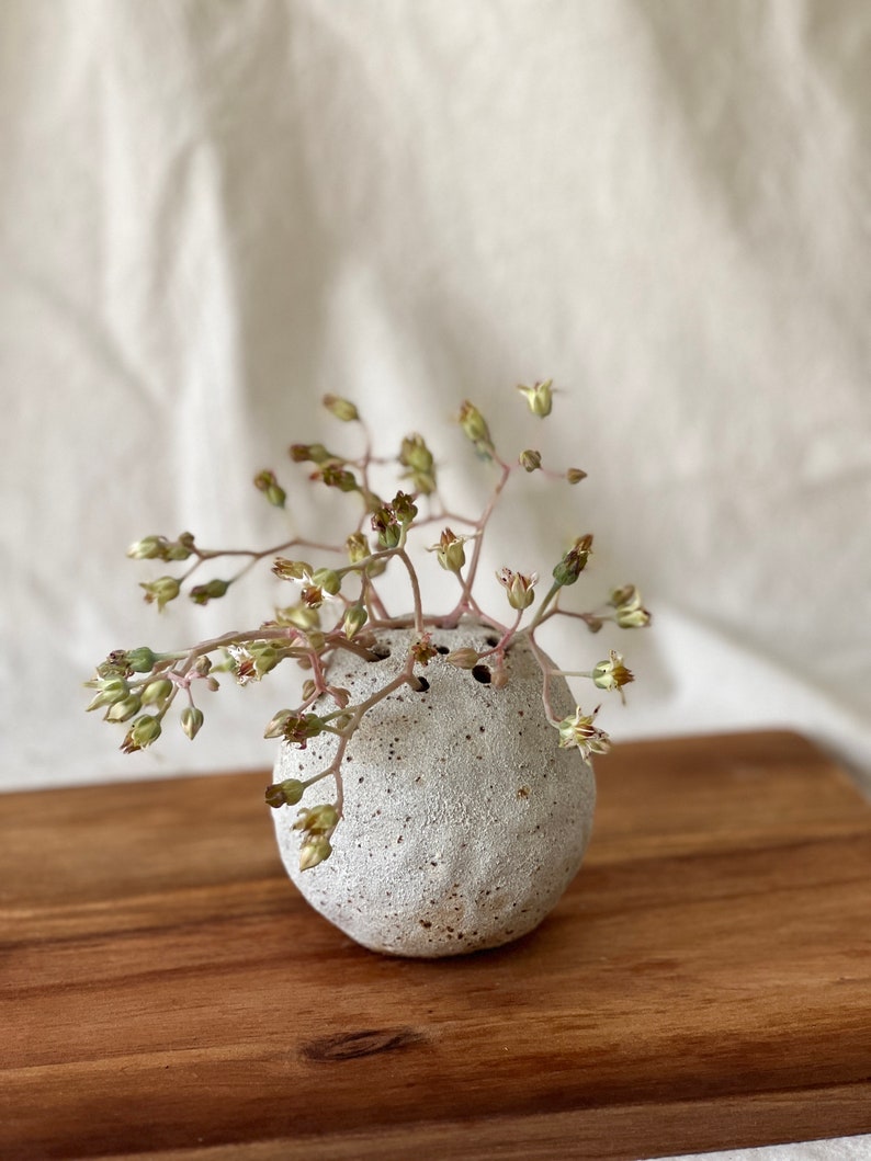 White Crater Bud Sprig Vase Handmade Ceramic Pottery - Etsy