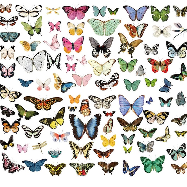 Butterfly Stickers - Etsy