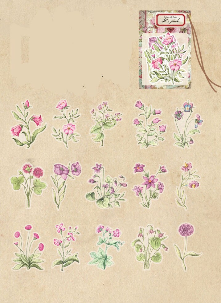 Vintage Flower Stickers Clear Flower Stickers Junk Journal - Etsy
