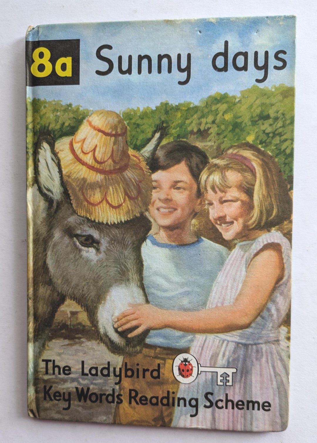 Sunny Days Book 8a Vintage Ladybird Book Ladybird Key Words Reading ...