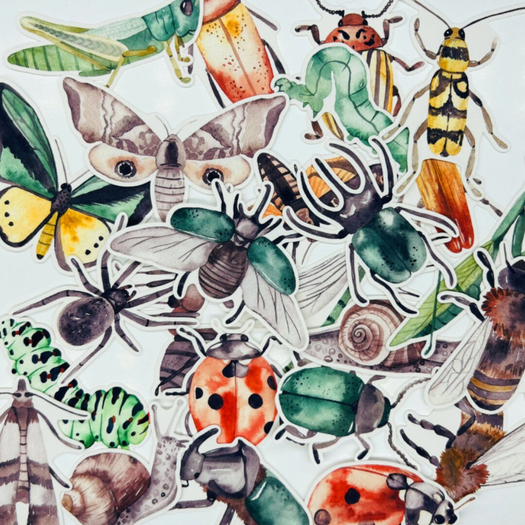 Vintage Bug Stickers, Retro Insect Transparent Vellum Stickers, Junk ...