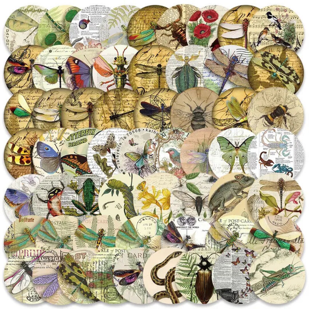 Vintage Retro Insect Botanical Butterfly Label Stickers for Junk ...