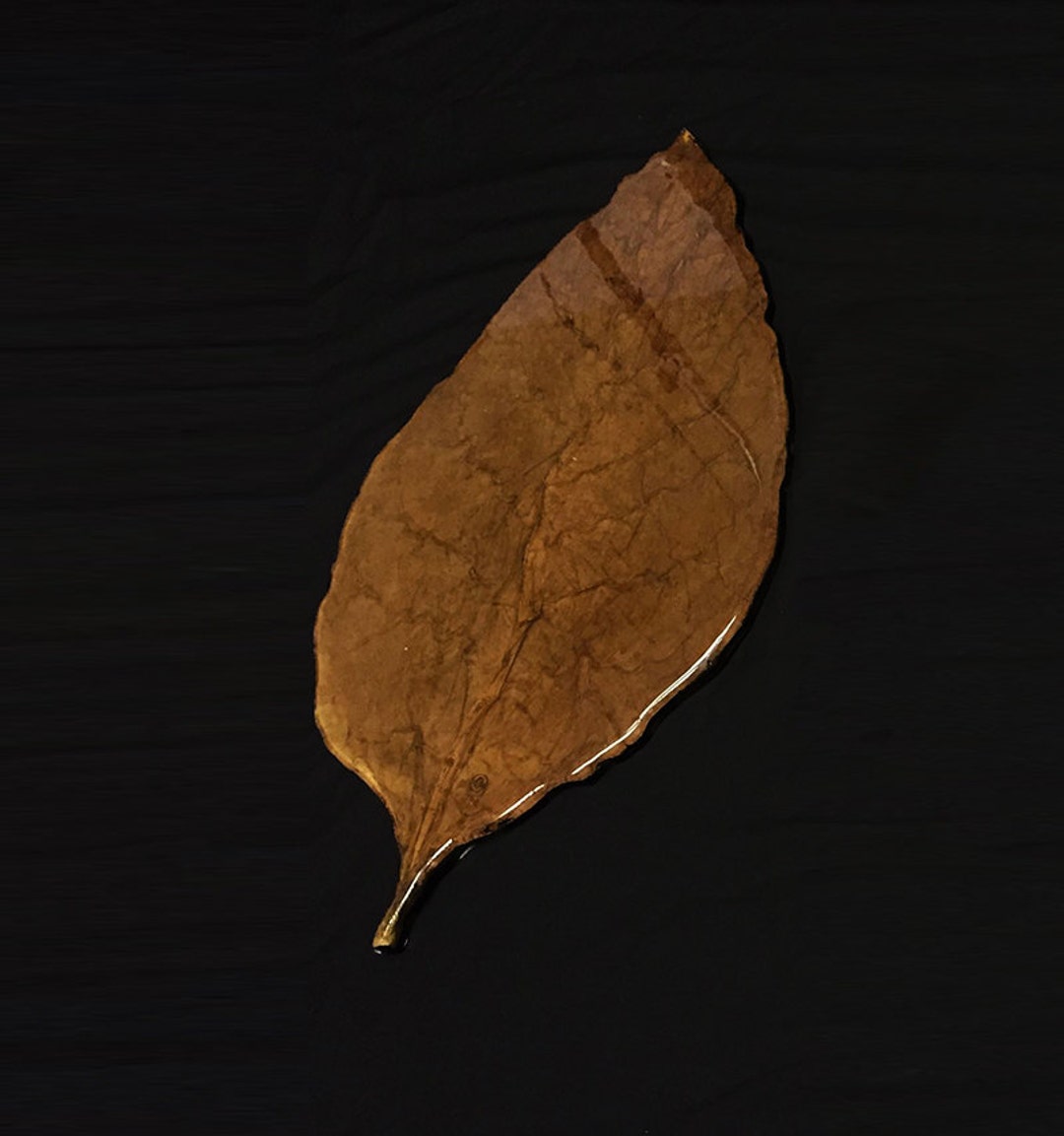 Cigar Leaf Decor - Etsy