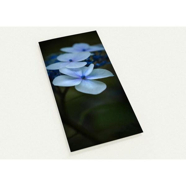 Hydrangea Postcard - Etsy