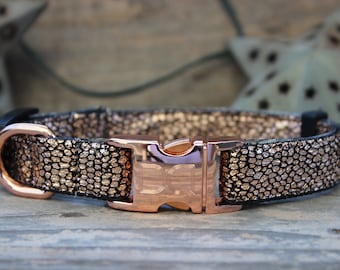 Rocker Dog Collar - Etsy