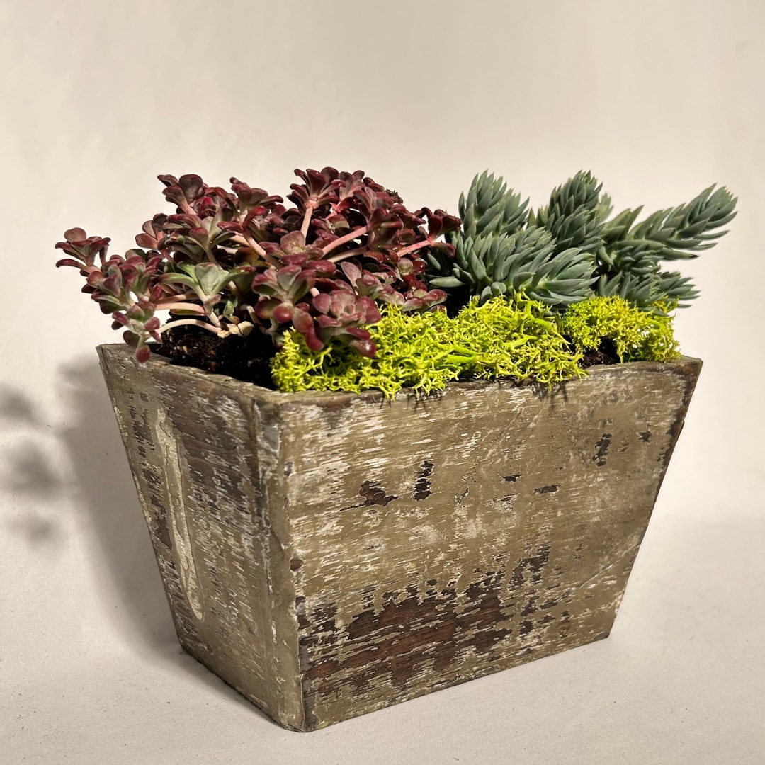 Distressed Wood Planter / Unique Rectangular Container / - Etsy