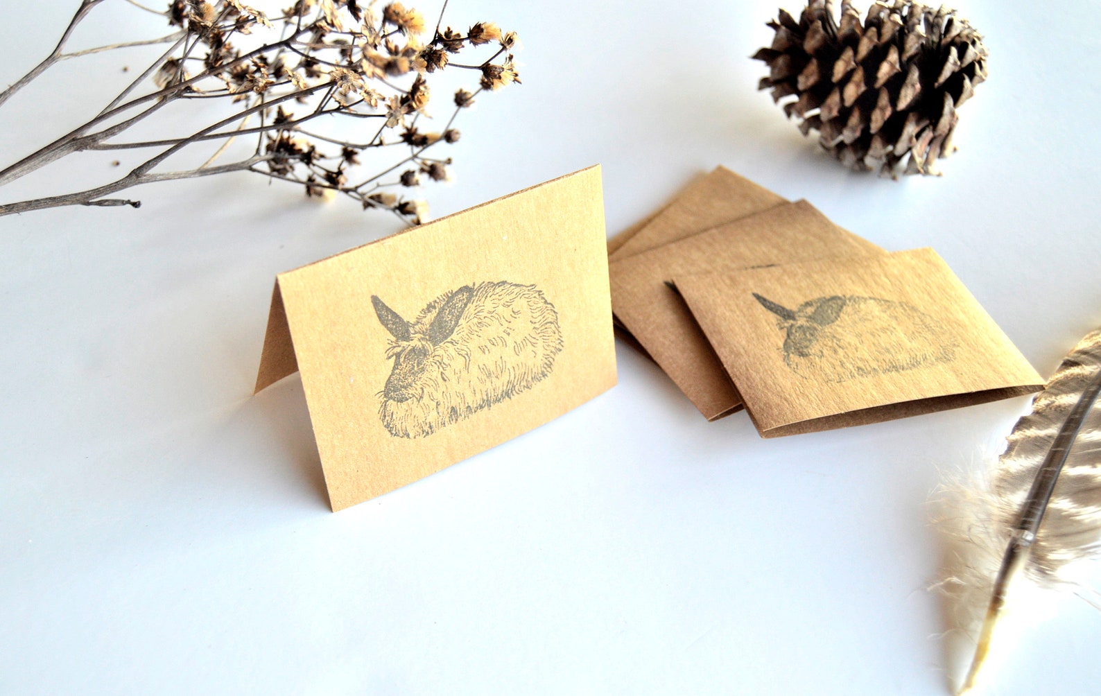 Angora Rabbit Note Card, Kraft Stationery Card, Brown Craft Card ...