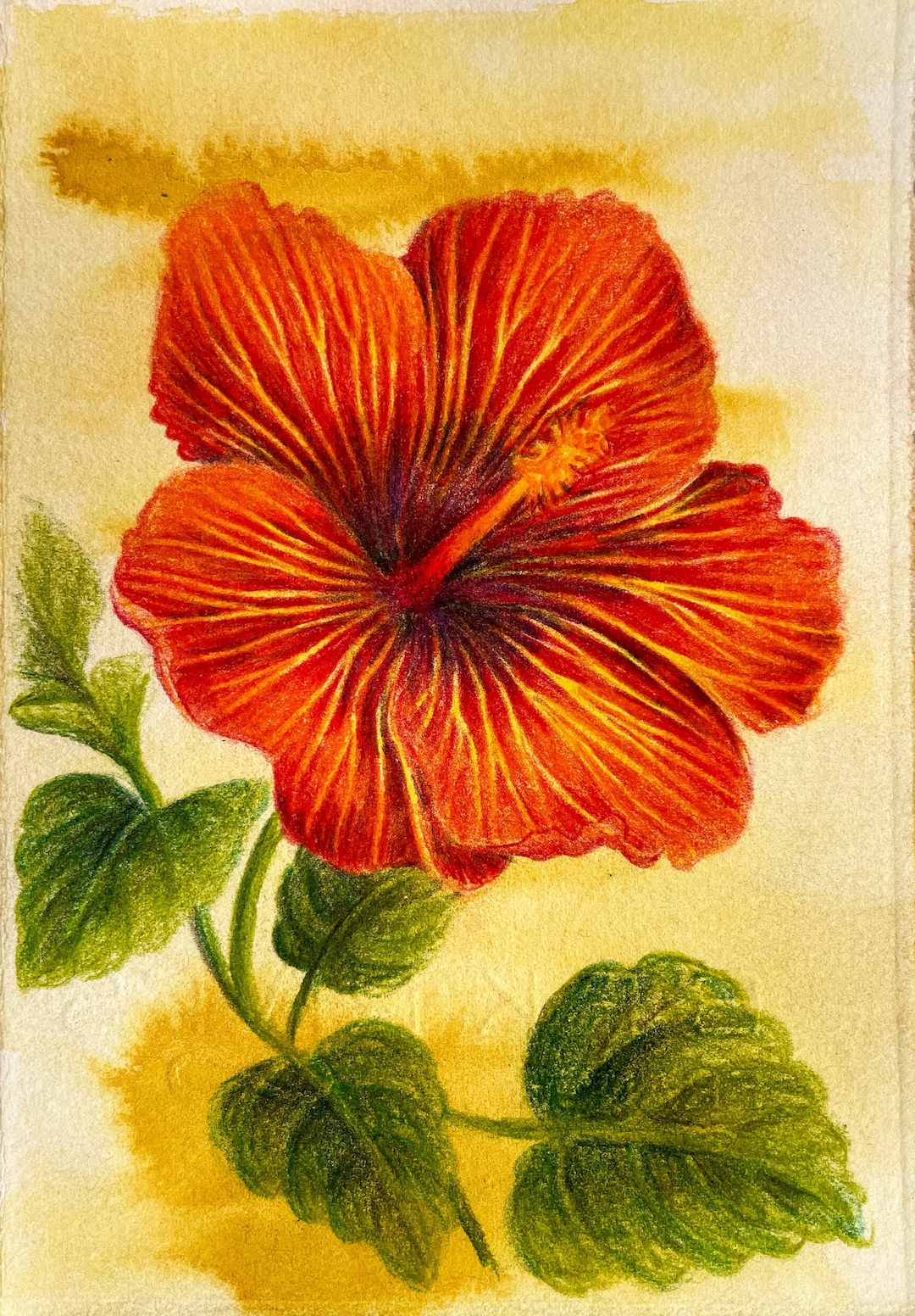 Red Flower Drawing - Small Original Fine Art - Etsy