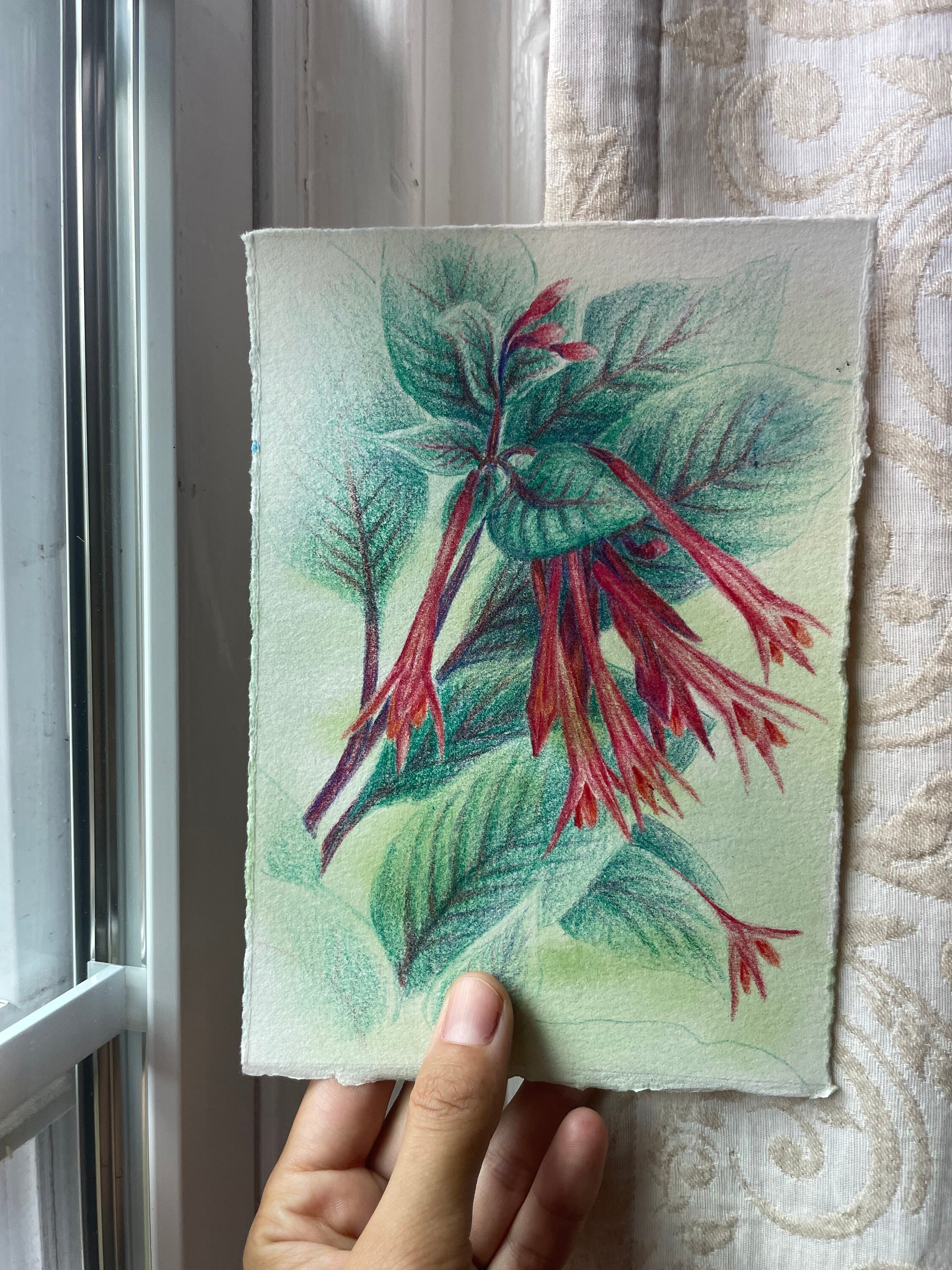 Original Colored Pencil Drawing of a Red Flower - Etsy