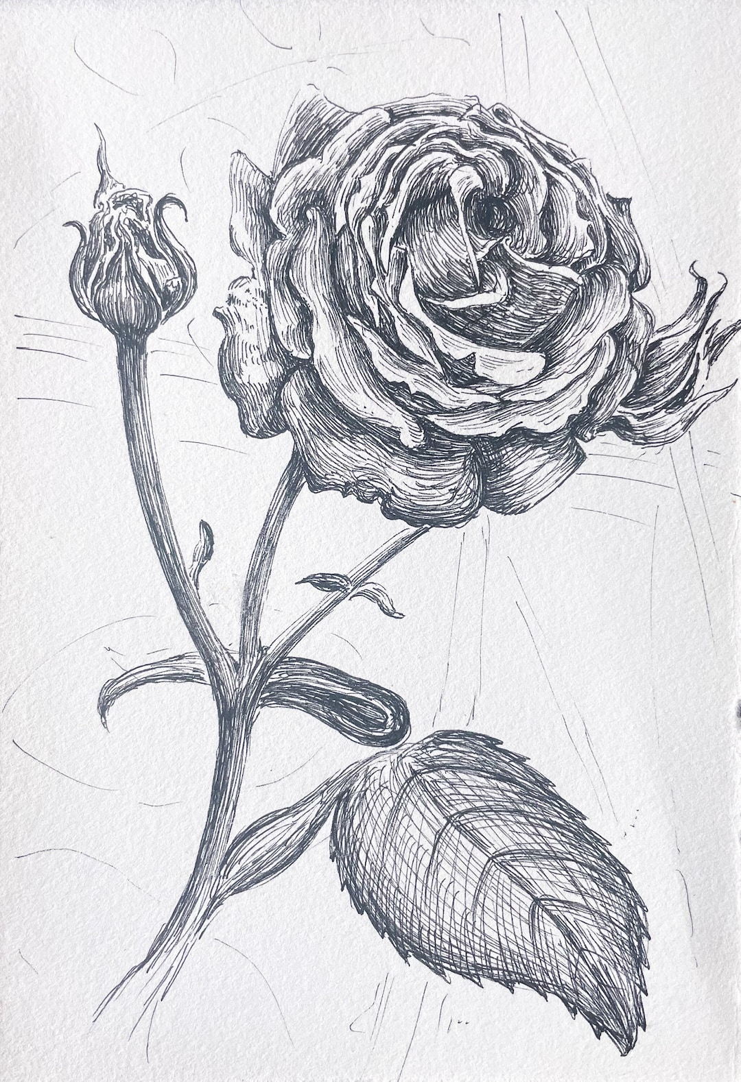 Small Flower Art - Original Pen and Ink Drawing of a Rose - Artist ...